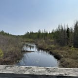 Bearskin State Trail, Wisconsin - 261 Reviews, Map | AllTrails