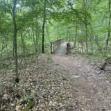 CCC Camp Trail Loop, Mississippi - 307 Reviews, Map | AllTrails