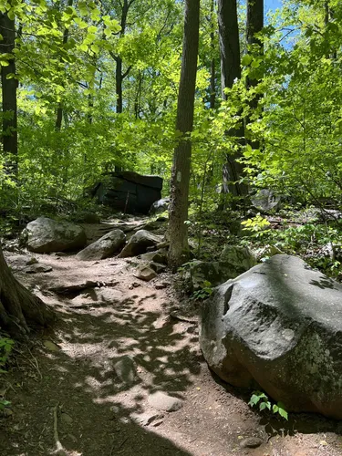 Best Hikes and Trails in Ringing Rocks County Park | AllTrails
