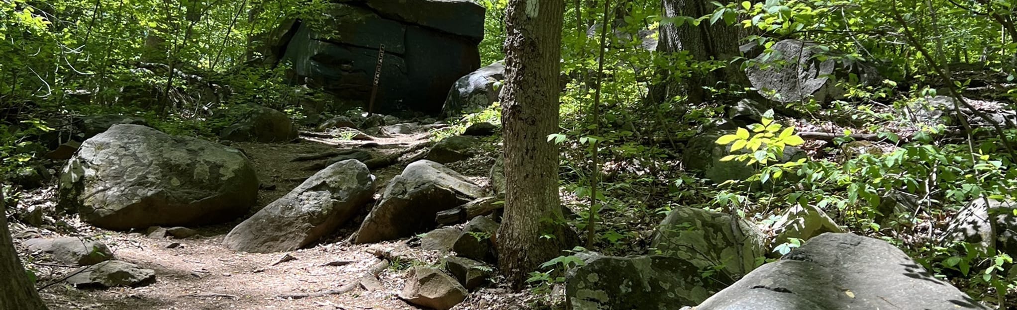 AllTrails | Ringing Rocks Ramble: 647 Reviews, Map - Pennsylvania