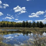 Pine Swamp Loop, New York - 1,165 Reviews, Map | AllTrails