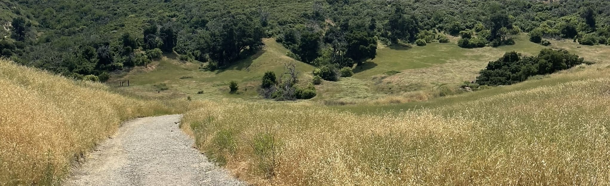 Waterfall Trail via Walker Ranch Trailhead: 931 foto - California ...