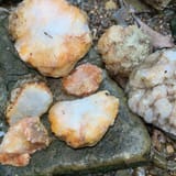 Patton Cave via Hayes and Patton Cave Trail, Indiana - 290 Reviews, Map ...