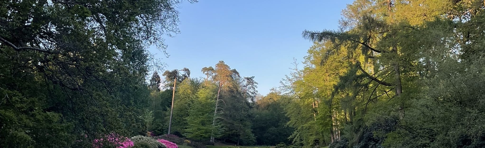 Handcross Circular, West Sussex, England - 20 Reviews, Map | AllTrails