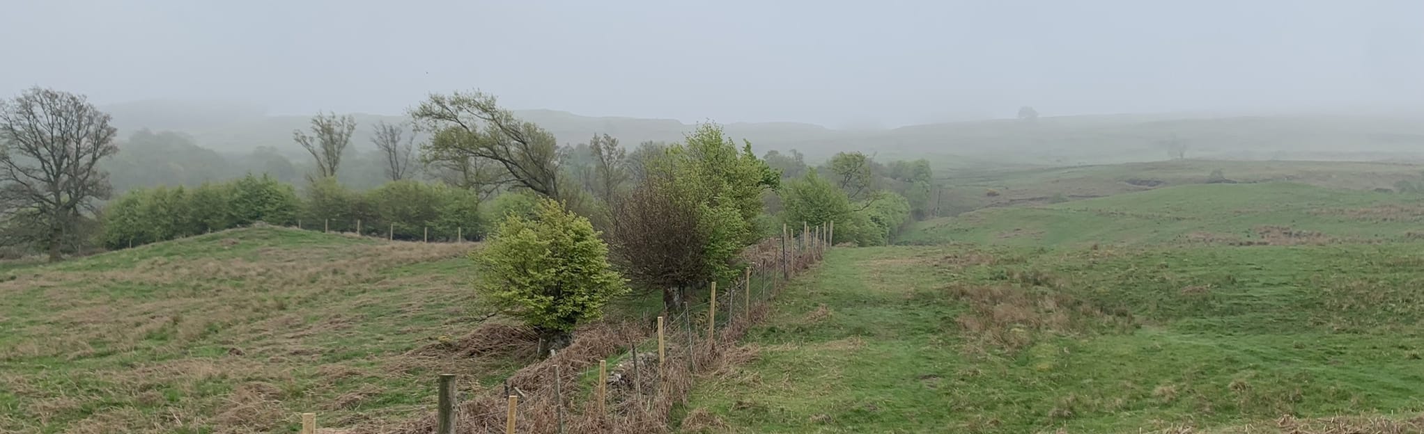 Gilmours Linn Waterfall and Charlies Cave: 7 Reviews, Map - Stirling ...