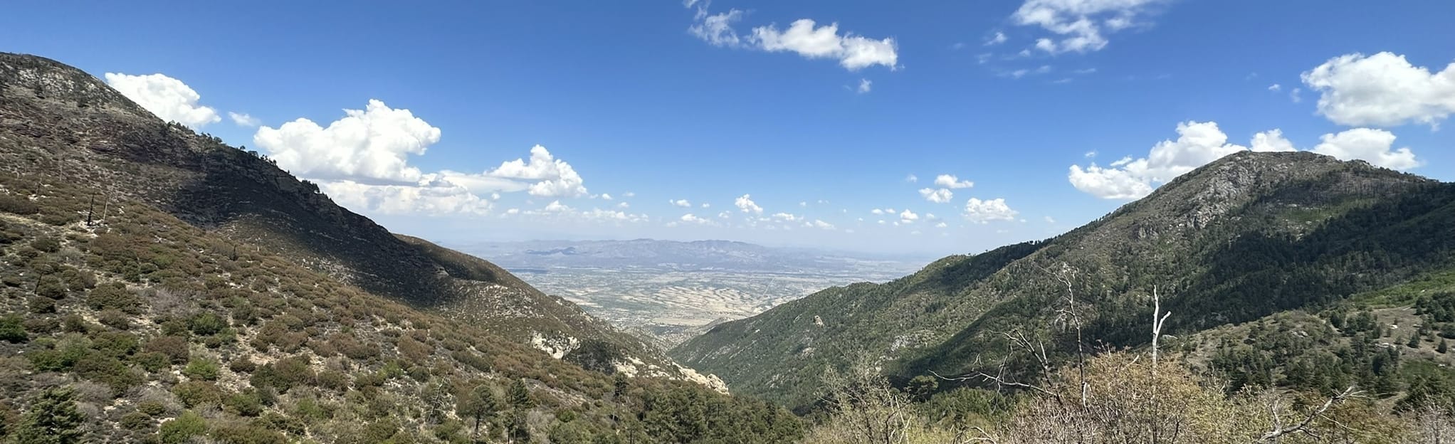 Miller Peak via Miller Canyon Trail, Arizona - 140 Reviews, Map | AllTrails