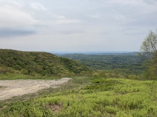 Best Hikes and Trails in Taconic Ridge State Forest | AllTrails