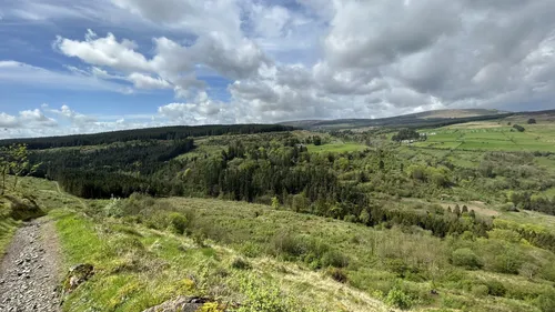 10 Best Forest Trails in Northern Ireland | AllTrails