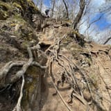 Amethyst Cove Trail, Nova Scotia, Canada - 330 Reviews, Map | AllTrails
