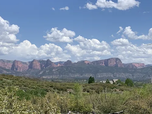 Best Backpacking Trails in Dixie National Forest | AllTrails