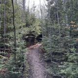 Flowerpot Island Loop Trail, Ontario, Canada - 489 Reviews, Map | AllTrails