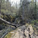 Flowerpot Island Loop Trail, Ontario, Canada - 489 Reviews, Map | AllTrails