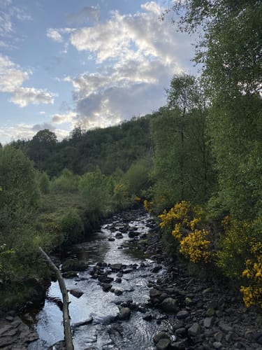 Best Hikes and Trails in Slieve Bloom Mountains Nature Reserve | AllTrails