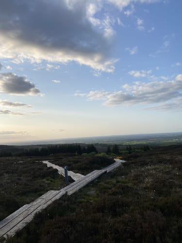 Best Hikes and Trails in Slieve Bloom Mountains Nature Reserve | AllTrails