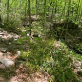 Whitestone Cliffs Trail, Connecticut - 570 Reviews, Map | AllTrails