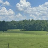 Pinhoti Trail, Alabama - 56 Reviews, Map | AllTrails