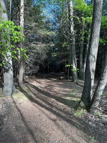 2023 Best Walking Trails in Muskegon State Park | AllTrails