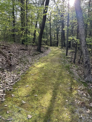 2023 Best Walking Trails in Muskegon State Park | AllTrails