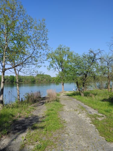 Best Hikes and Trails in Delaware Reservoir Wildlife Area | AllTrails