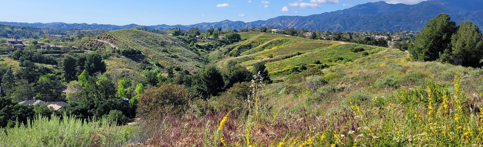 Bell View Trail to Bell Peak, California - 242 Reviews, Map | AllTrails