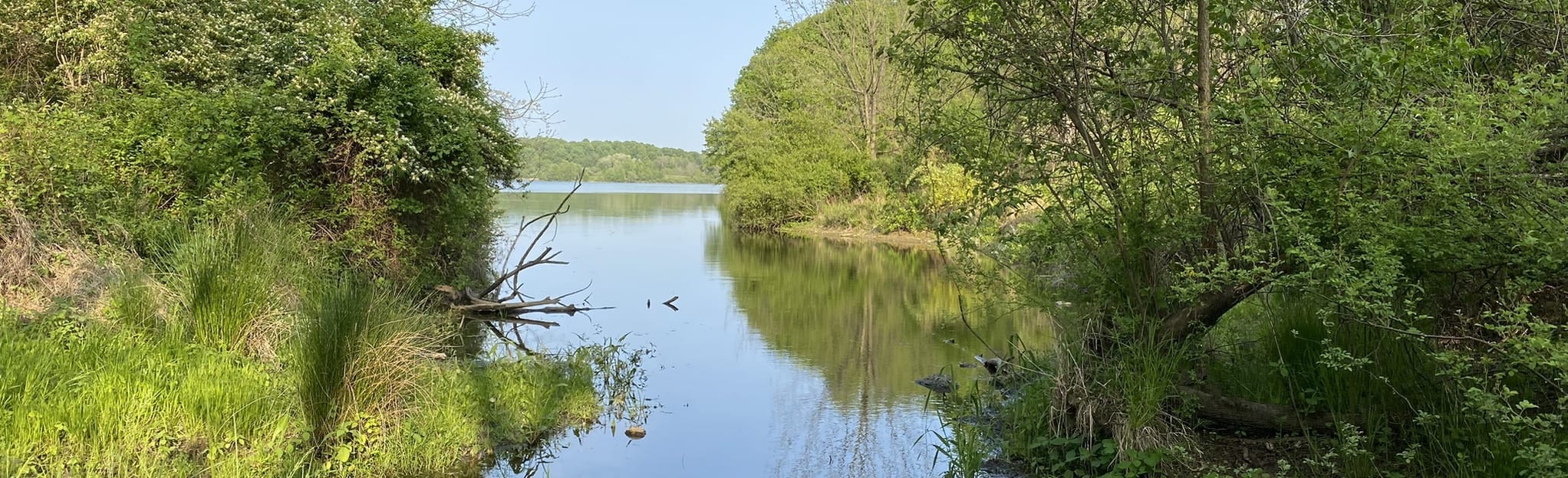 Marsh Creek Trail: 1291 Reviews, Map - Pennsylvania | AllTrails