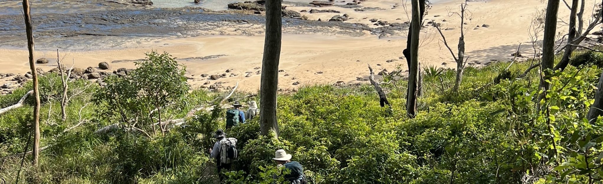 Burrawang Walking Track, New South Wales, Australia - 18 Reviews, Map ...