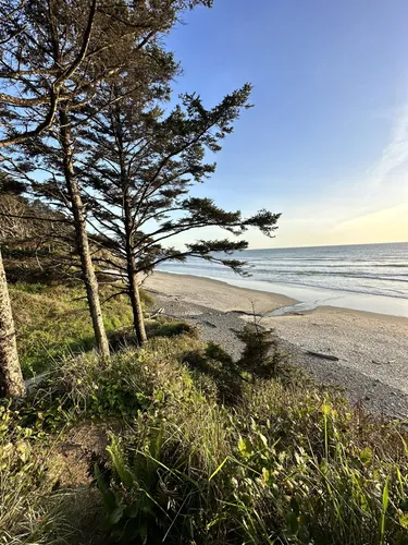 Best Hikes and Trails in Hug Point State Recreation Site | AllTrails