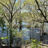 The Meadows Slough Trail, California - 380 Reviews, Map | AllTrails