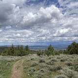 Gray Butte, Oregon - 182 Reviews, Map | AllTrails
