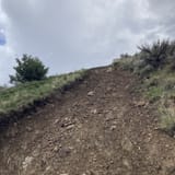 Gray Butte, Oregon - 182 Reviews, Map | AllTrails