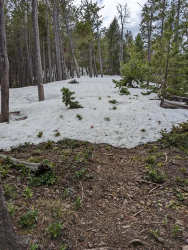 2023 Best Views Trails in Hilger | AllTrails