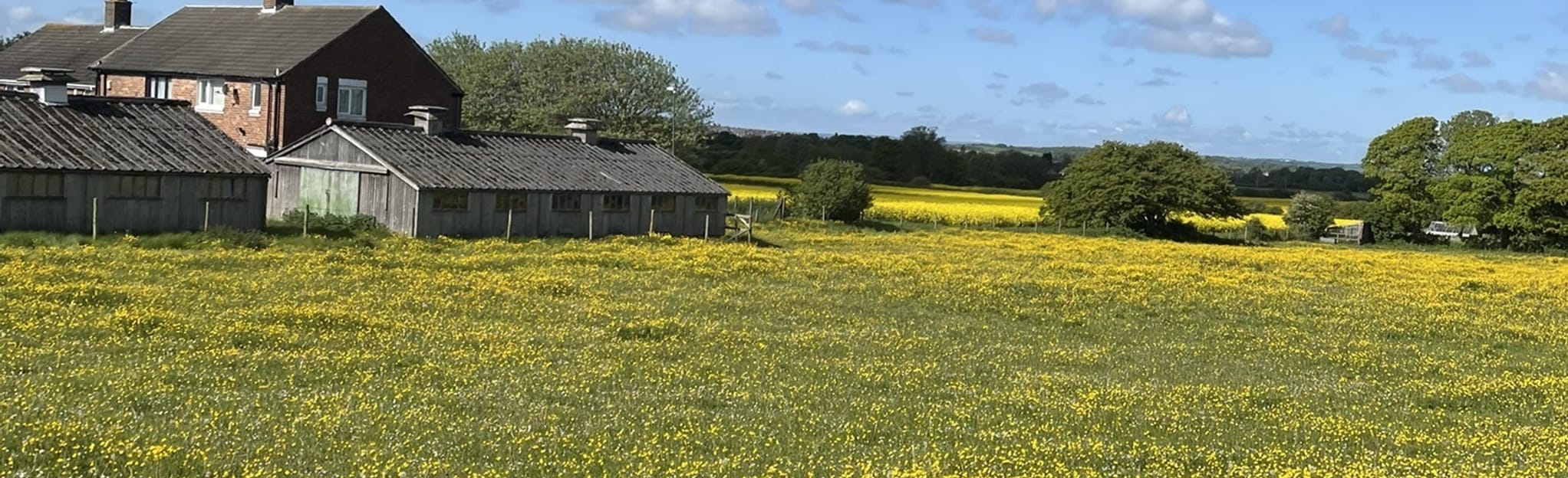 Marsden Bay and Cleadon Hills: 144 Reviews, Map - Tyne and Wear ...