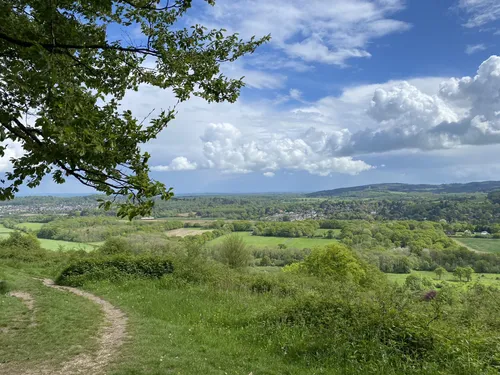 10 Best Hikes and Trails in Surrey Hills National Landscape (AONB ...
