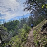 Frog Lake Loop Trail, California - 592 Reviews, Map | AllTrails
