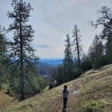 Frog Lake Loop Trail, California - 592 Reviews, Map | AllTrails
