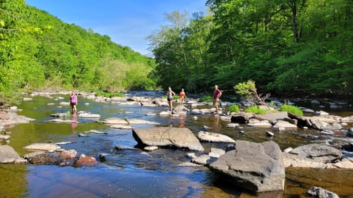 Best Hikes and Trails in Tohickon Valley Park | AllTrails