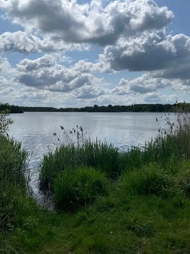 Best Road Biking Trails in Scarpe-Escaut Regional Nature Park | AllTrails