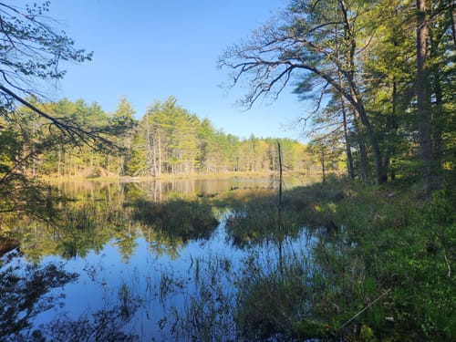 2023 Best Easy Trails in Dunbarton | AllTrails