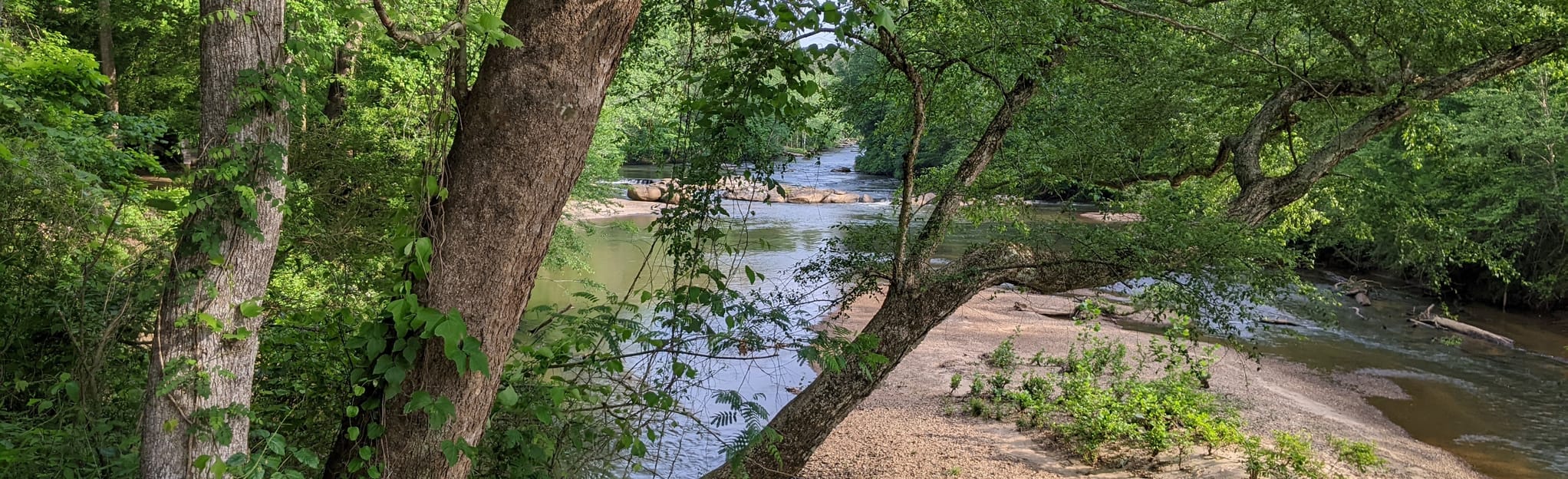 Yellow River Park Loop: 650 Reviews, Map - Georgia | AllTrails