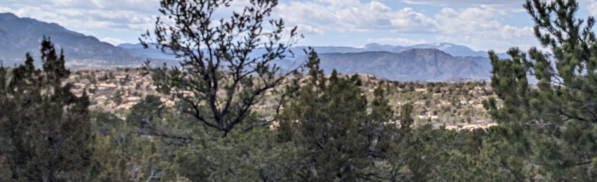 Bighorn Trail, Colorado - 27 Reviews, Map | AllTrails