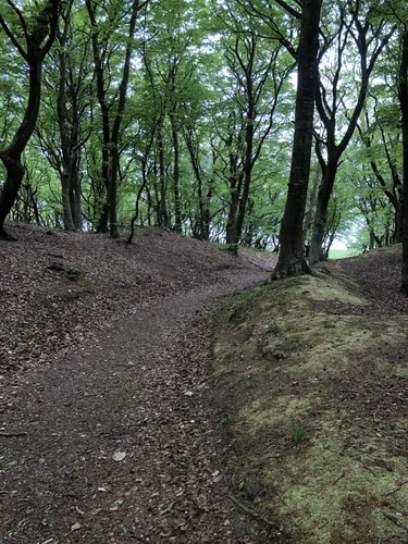 2023 Best Walking Trails in Fjellerup | AllTrails