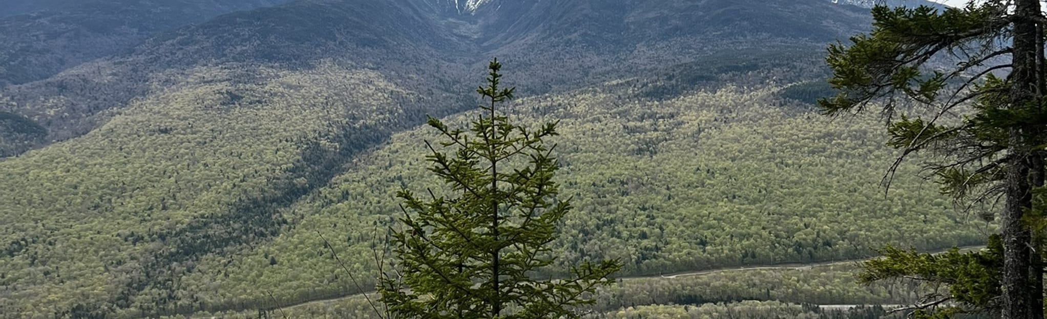 Mount Crescent Loop: 87 Reviews, Map - New Hampshire | AllTrails