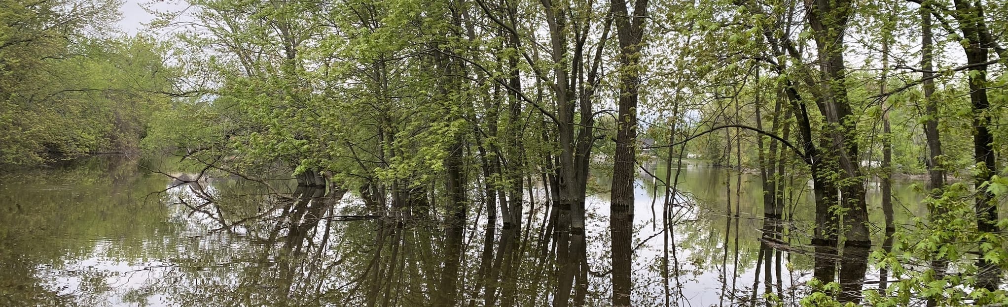 Nature Interpretation Center Loop: 48 foto's - Quebec, Canada | AllTrails