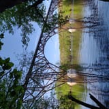 Arcola Bluffs Trail, Minnesota - 192 Reviews, Map | AllTrails