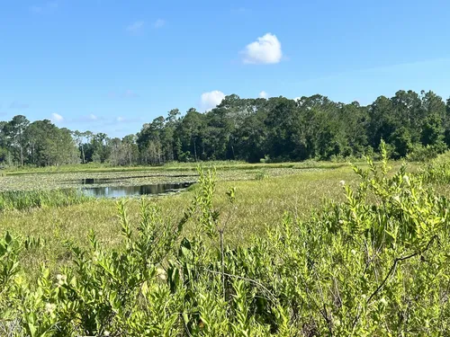 Best Trail Running Trails in Lake Mary | AllTrails
