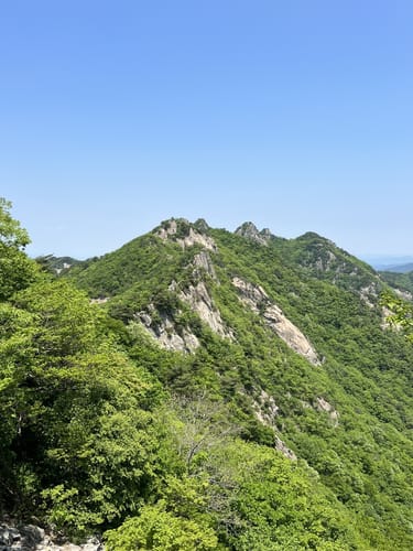 Best Hikes and Trails in Gyeryongsan National Park | AllTrails