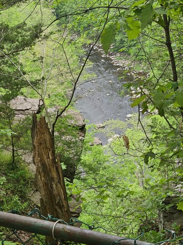 Best Hikes and Trails in Tohickon Valley Park | AllTrails