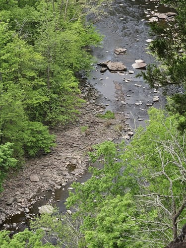 Best Hikes and Trails in Tohickon Valley Park | AllTrails