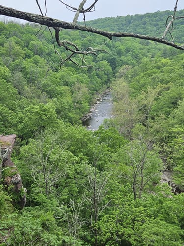 Best Hikes and Trails in Tohickon Valley Park | AllTrails