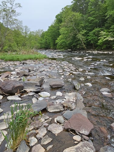 Best Hikes and Trails in Tohickon Valley Park | AllTrails